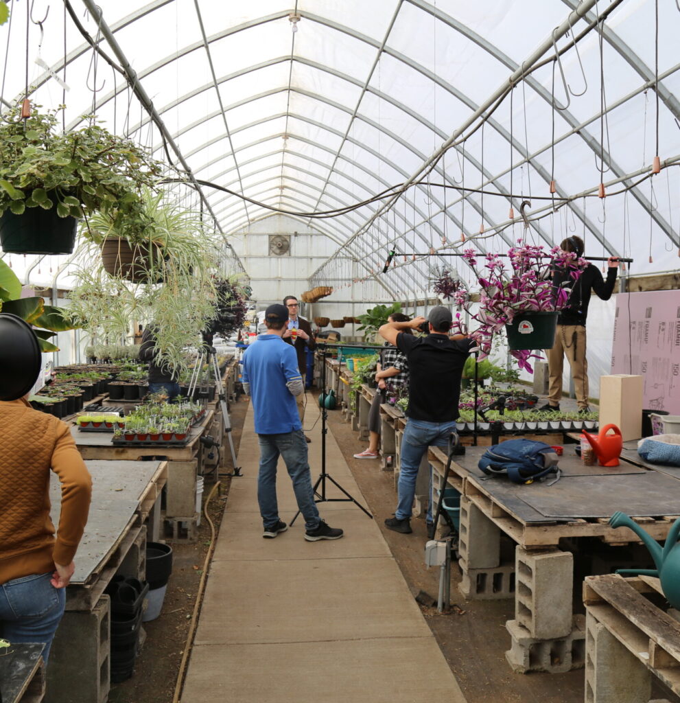 About Us - MindSpring