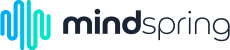 Needs Assessment - MindSpring
